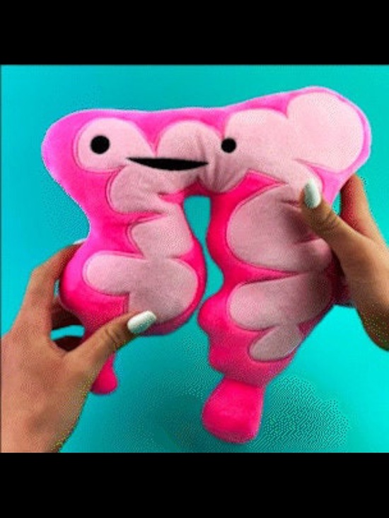 Toys | Heart Guts Pink Tag Plush Accessory | Poshmark